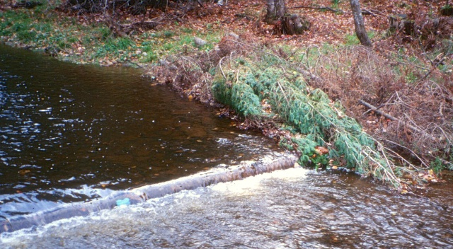 Fish habitat Restoration Structures | Southeastern Anglers Association