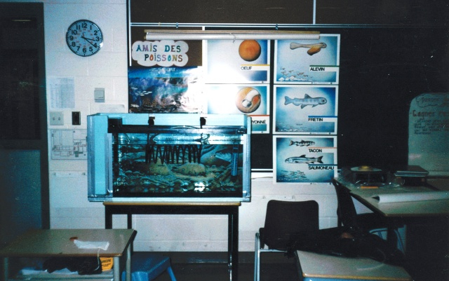 Fish Friends Education Programs in New Brunswick | Southeastern Anglers ...